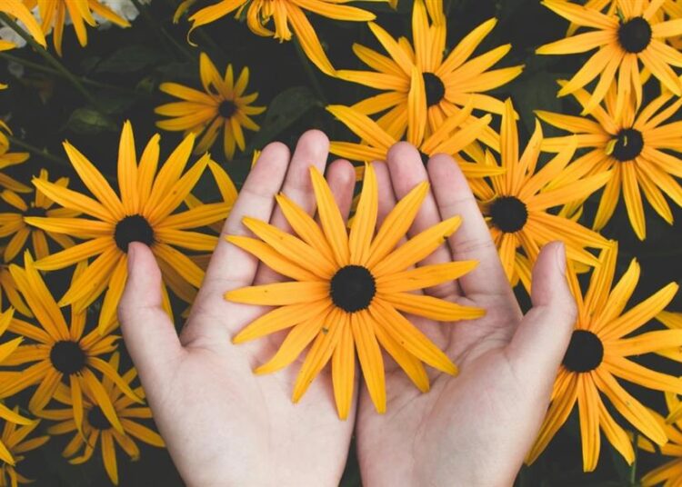 Name Day: Ποιοι γιορτάζουν σήμερα, Τρίτη 13 Ιανουαρίου – Famagusta News